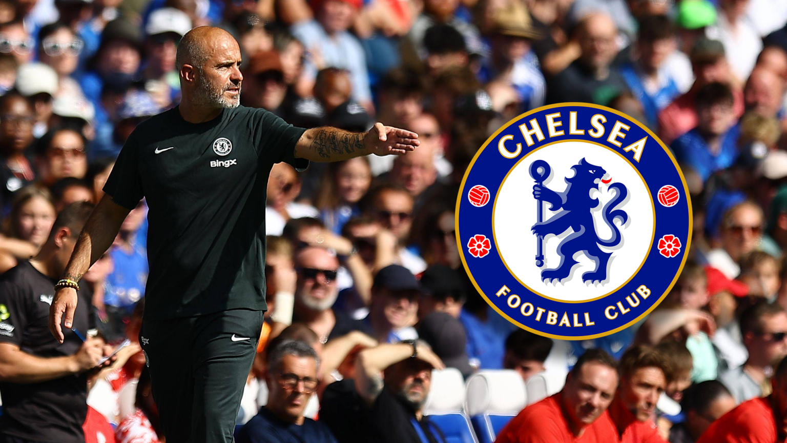 Trainerhistorie: Alle Chelsea-Trainer seit 1905 - Sky Sport Austria